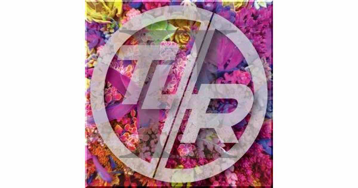 T4R 2016年10月28日発売 2ndアルバム T4R Ⅱ | Underground B.S.L.